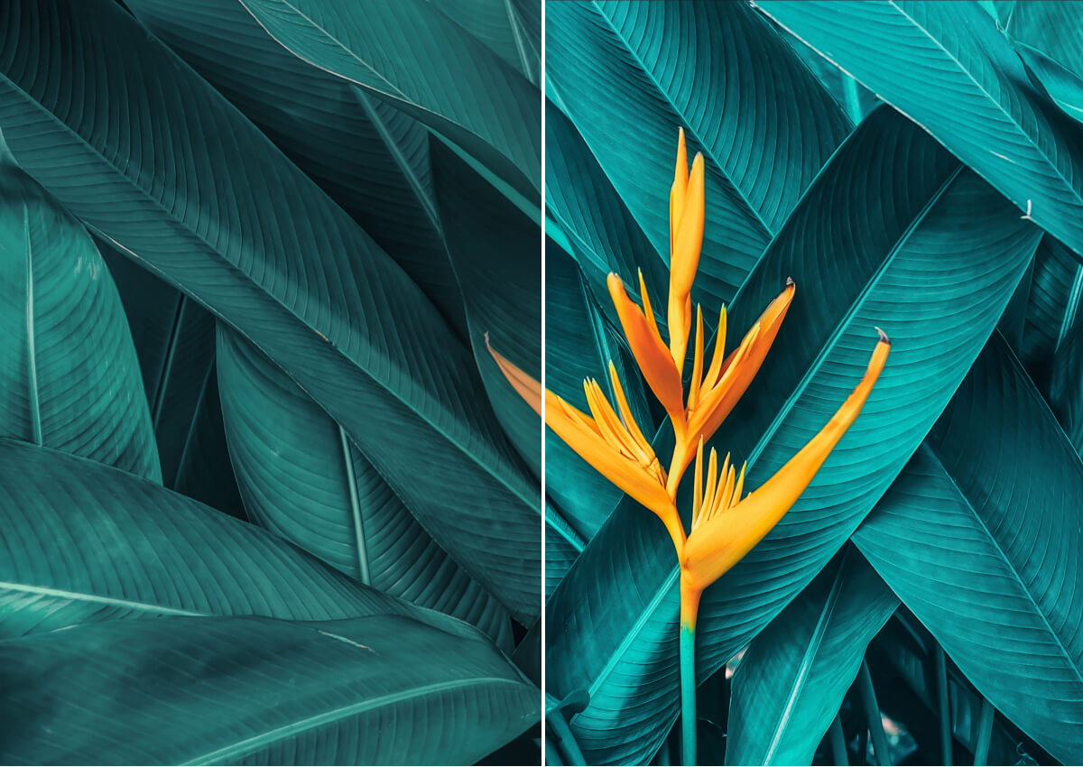 AI Image & Video Editing API | Free to Try