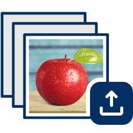 FREE Online Background Remover - Remove Background with AI